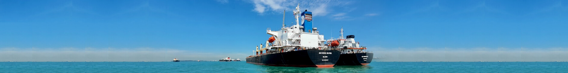 Our Vessels - Wilson International